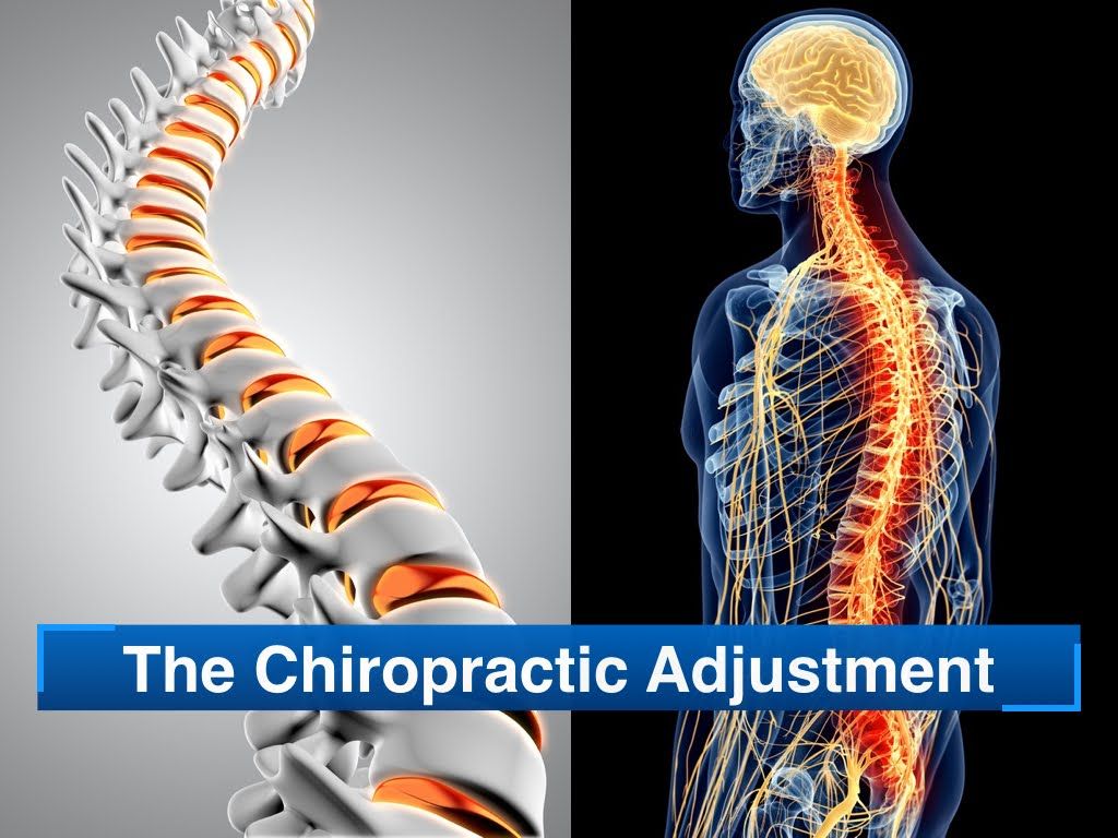 Chiropractic Science | Dr. Sherri Scott, Chiropractor